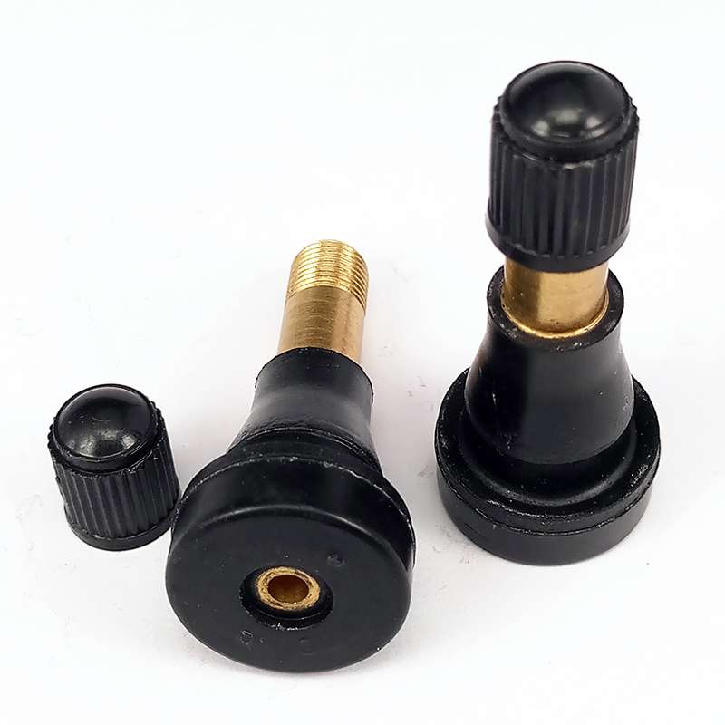 TPMS Tire Valve - YAQIYA